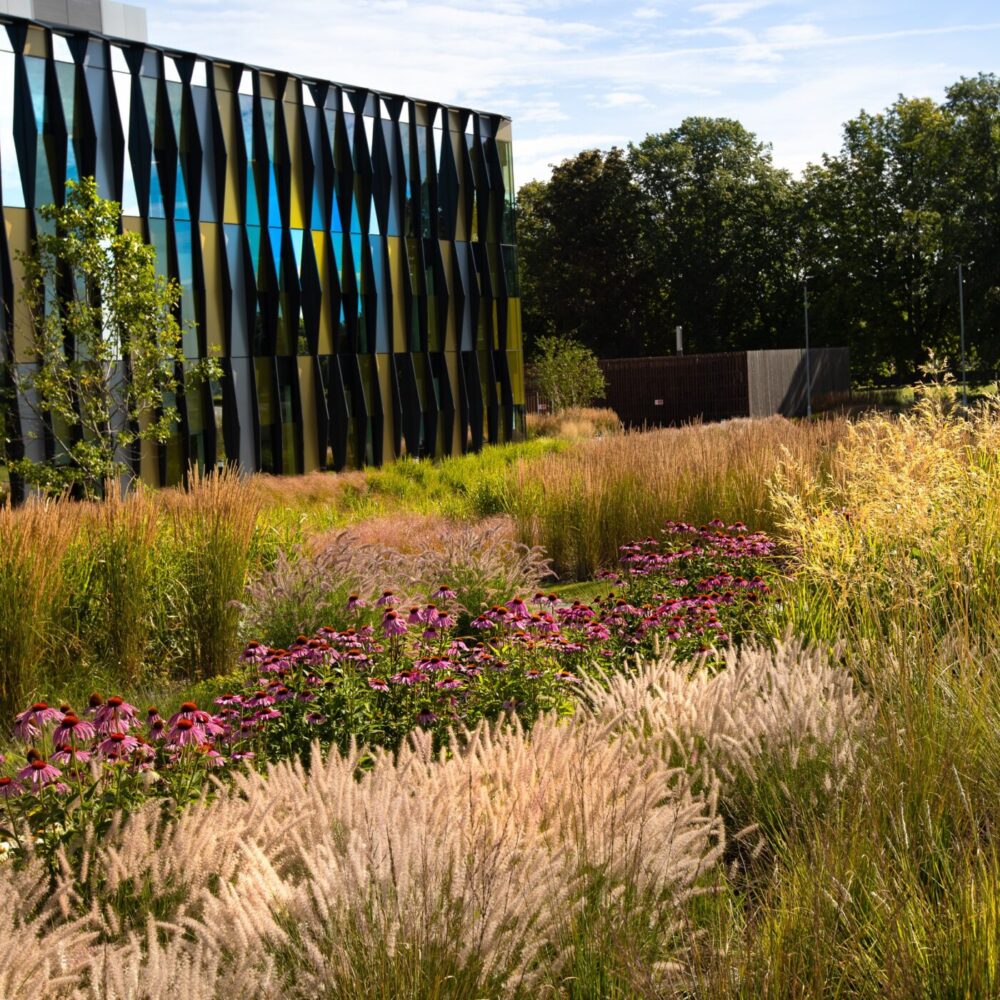 Quad Two | Harwell Campus' Premium Grade A Office Space